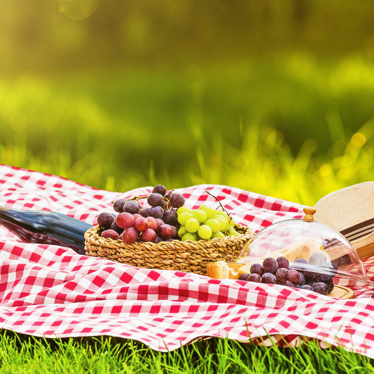 Sensational Seating – Prickly Pear Picnic